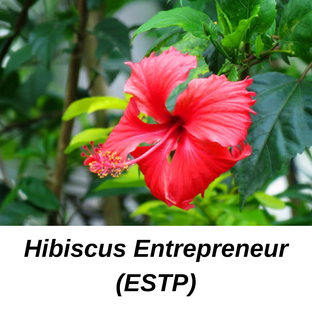 Flower-Based Personality Report | The Hibiscus Entrepreneur (ESTP) – She Blossomed