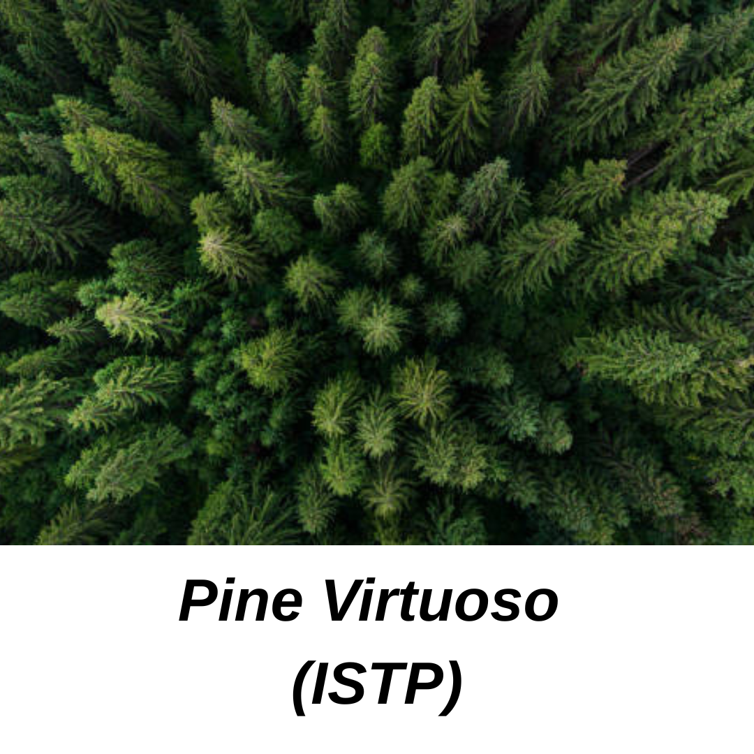 Flower-Based Personality Report | The Pine Virtuoso (ISTP) – She Blossomed
